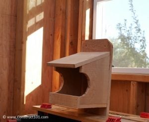 Robin Nesting Shelter Plans - PDF Download - Construct101